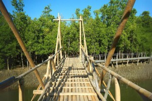 Bakhawan Eco Park: A Refreshing Break from the Chaos of City Life