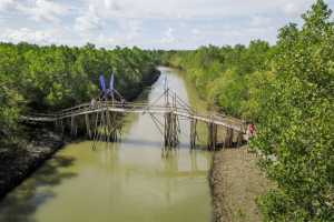Bakhawan Eco Park: A Refreshing Break from the Chaos of City Life